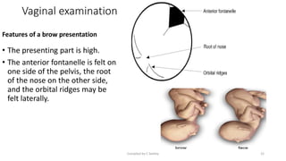 2nd and 3rd stage of labour final.pdf
