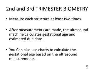 2ND AND 3RD TRIMESTER DATING FOR STARTER.pptx