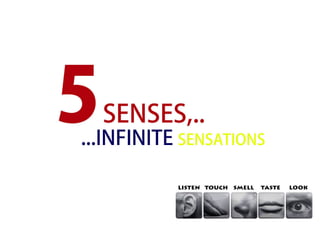 5 SENSES,.. INFINITE SENSATIONS | PDF