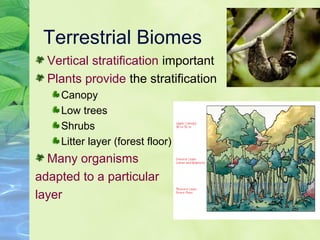 AP Biology An introduction to ecology | PPT