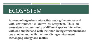 BIOTIC and ABIOTIC FACTORS INTHE ECOSYSTEM | PPT