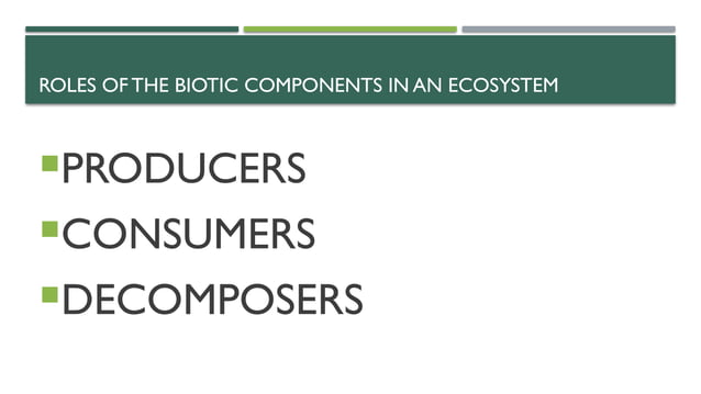 BIOTIC and ABIOTIC FACTORS INTHE ECOSYSTEM | PPT