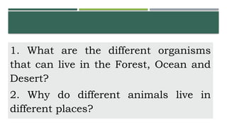 BIOTIC and ABIOTIC FACTORS INTHE ECOSYSTEM | PPT