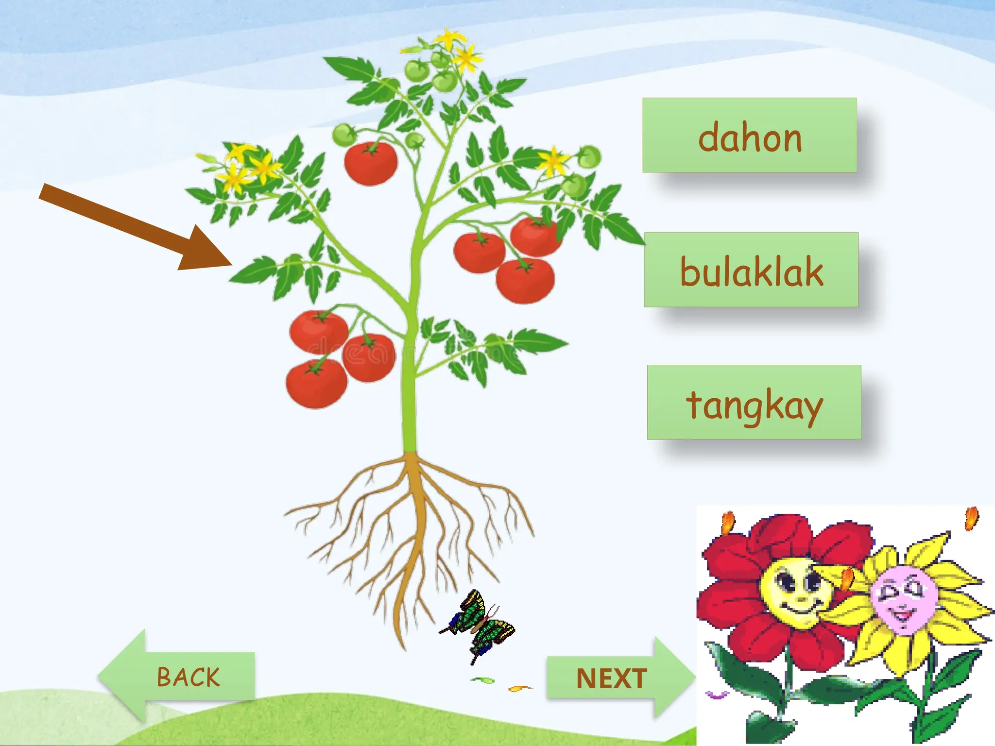 2ND COT PARTS OF A PLANT developing mastery (interactive ppt.).pptx
