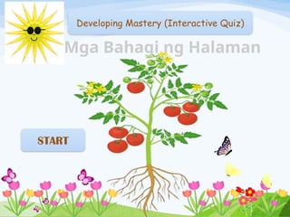 2ND COT PARTS OF A PLANT developing mastery (interactive ppt.).pptx