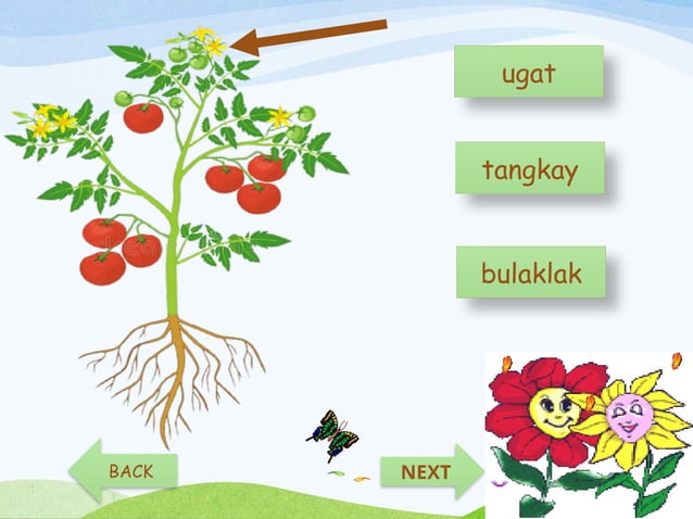 2ND COT PARTS OF A PLANT developing mastery (interactive ppt.).pptx
