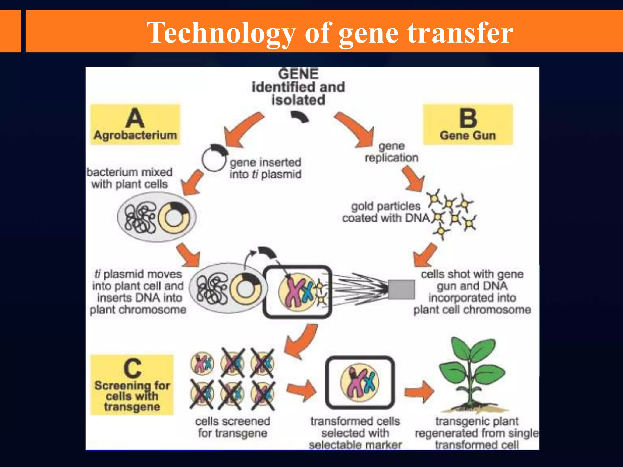 Green to gene revolution | PPTX