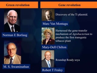 Green to gene revolution | PPTX