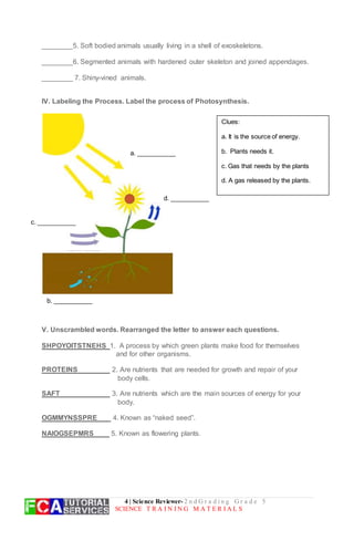 Science Grade 5 2nd Grading Reviewer Set | DOCX