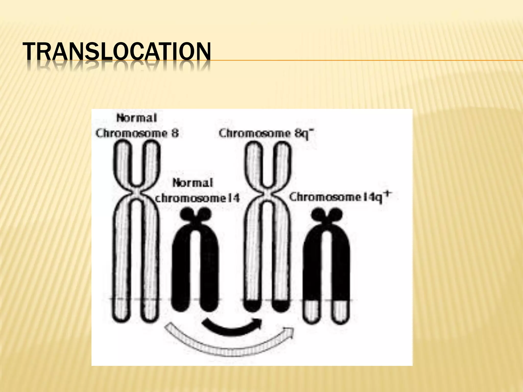 Heredity Inheritance And Variation Pdf Biological Sciences Science