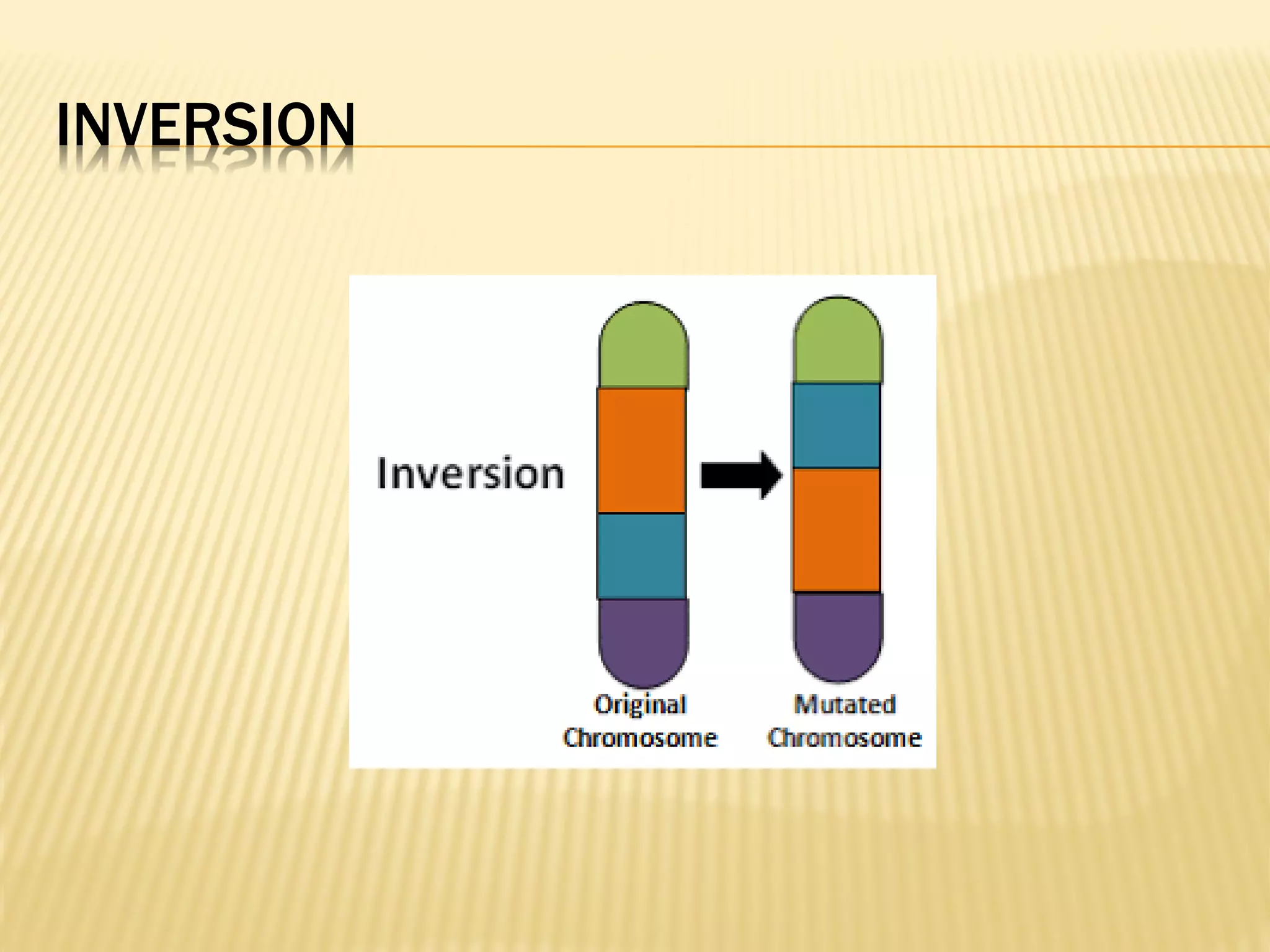 HEREDITY: INHERITANCE AND VARIATION | PDF