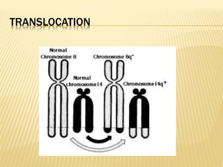 HEREDITY: INHERITANCE AND VARIATION | PDF