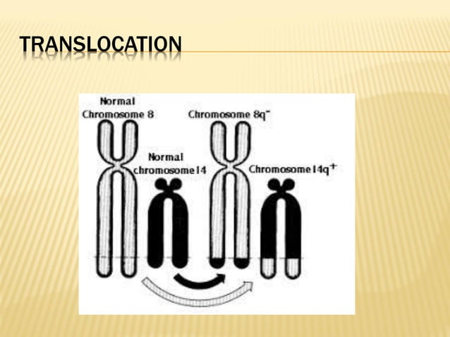 HEREDITY: INHERITANCE AND VARIATION | PDF | Biological Sciences | Science