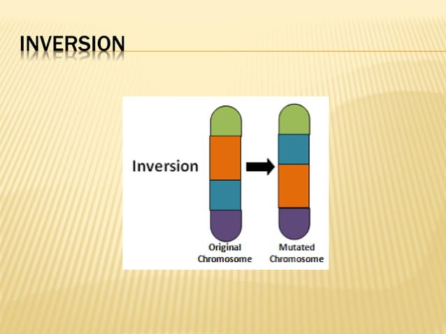 HEREDITY: INHERITANCE AND VARIATION | PDF | Biological Sciences | Science