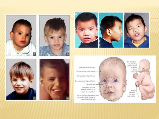 HEREDITY: INHERITANCE AND VARIATION | PDF | Biological Sciences | Science