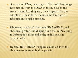HEREDITY: INHERITANCE AND VARIATION | PDF
