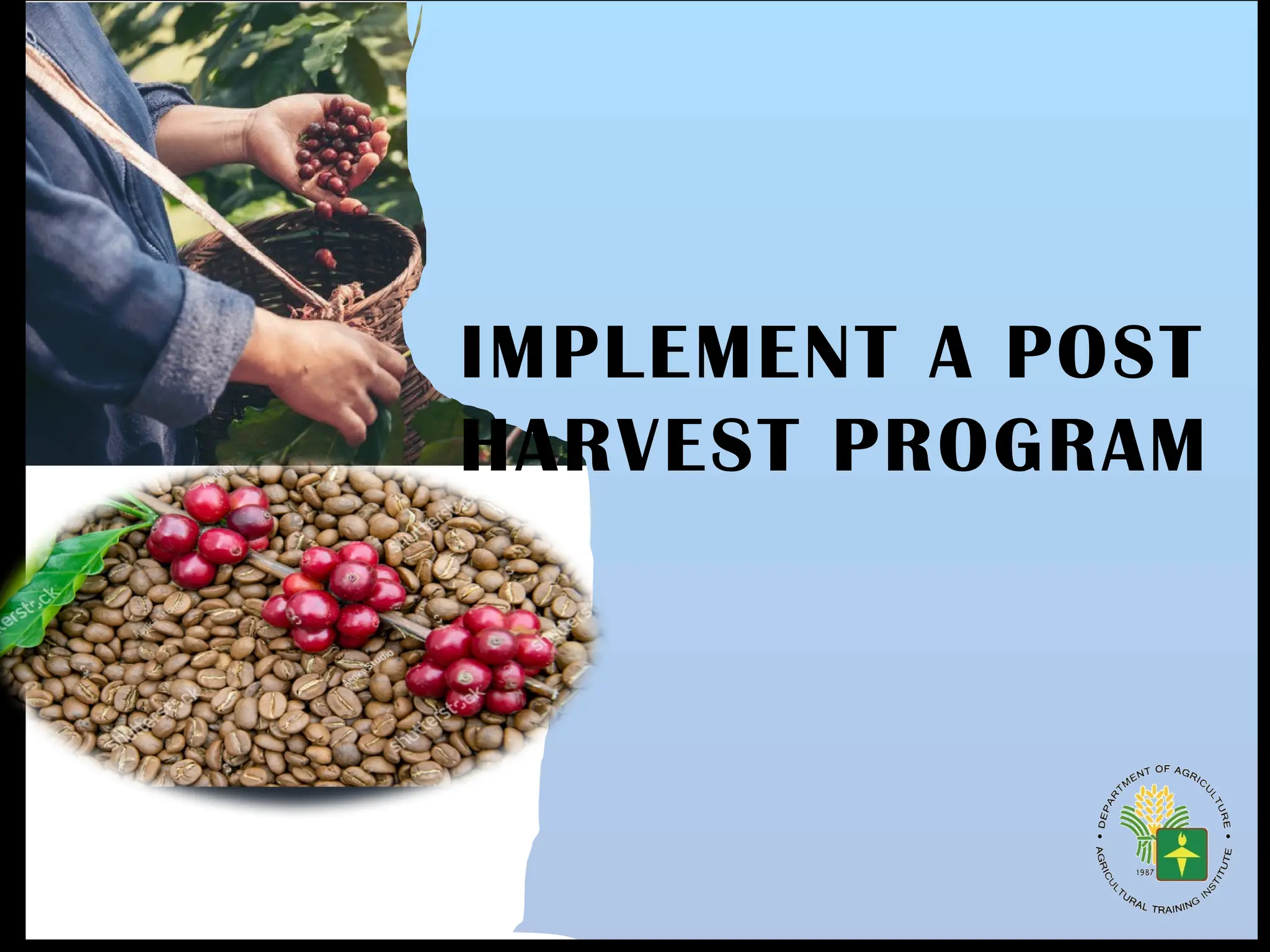 2nd IMPLEMENT A POST HARVEST PROGRAM.pptx