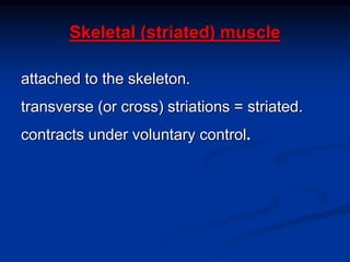 anatomy,muscles, joints, Dr.sabreen mahmoud | PPTX