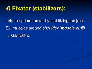 anatomy,muscles, joints, Dr.sabreen mahmoud | PPTX