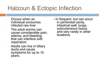 2nd lecture of fasciolahepatica by Waqas Ahmad shams | PPT