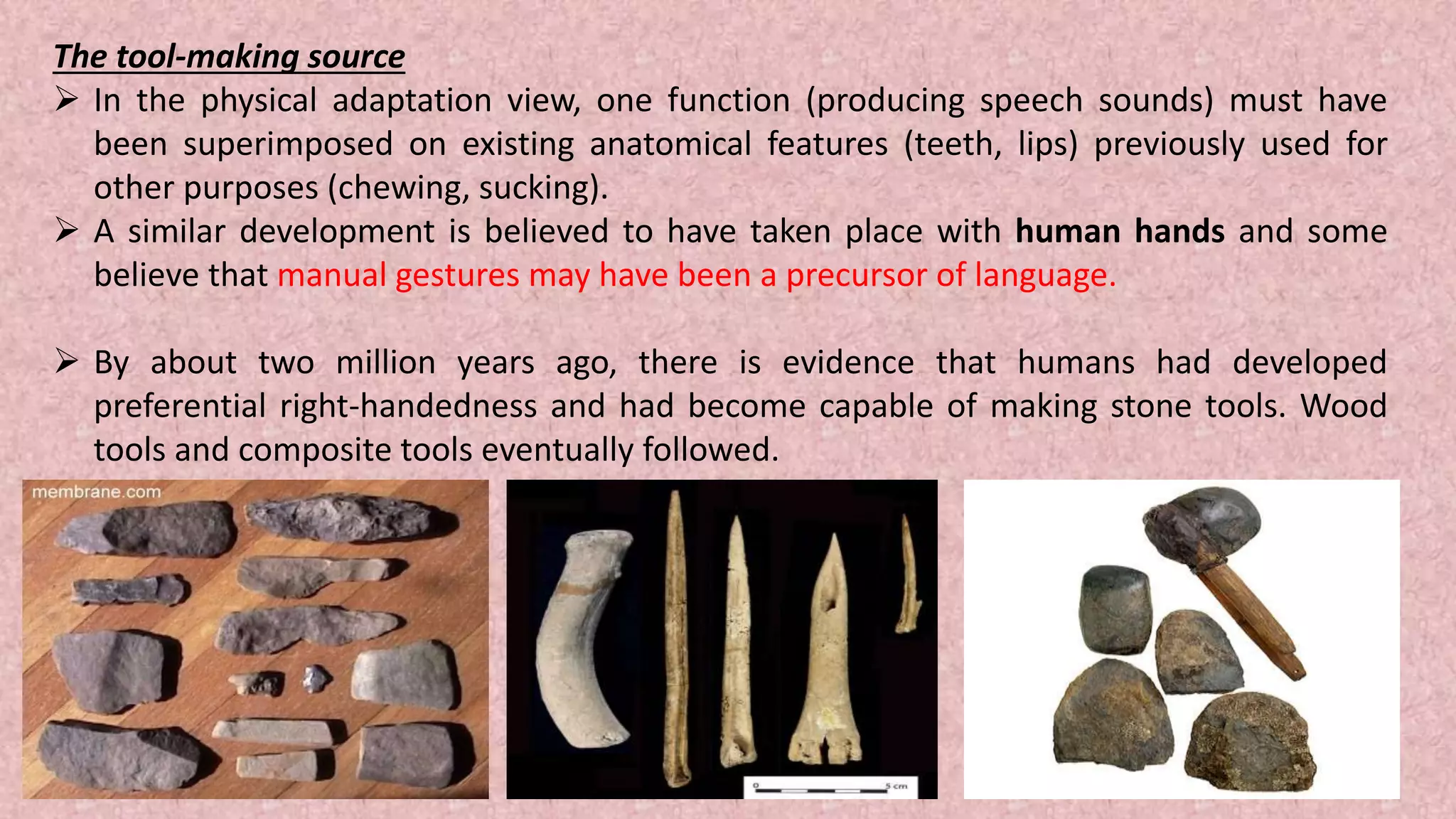 Origin of Language | PPTX