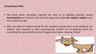 Origin of Language | PPTX