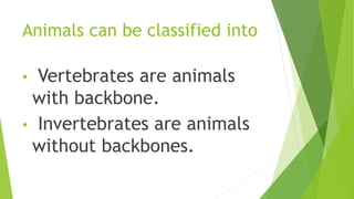 2nd Lesson 4 - Animals in the Sorroundings.pptx