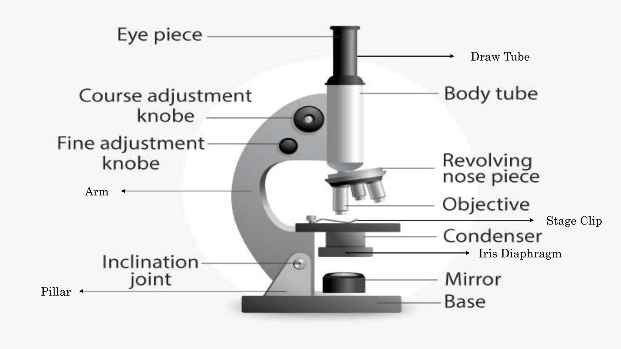 Second (2nd) Quarter Topics in Science 7 | PPTX