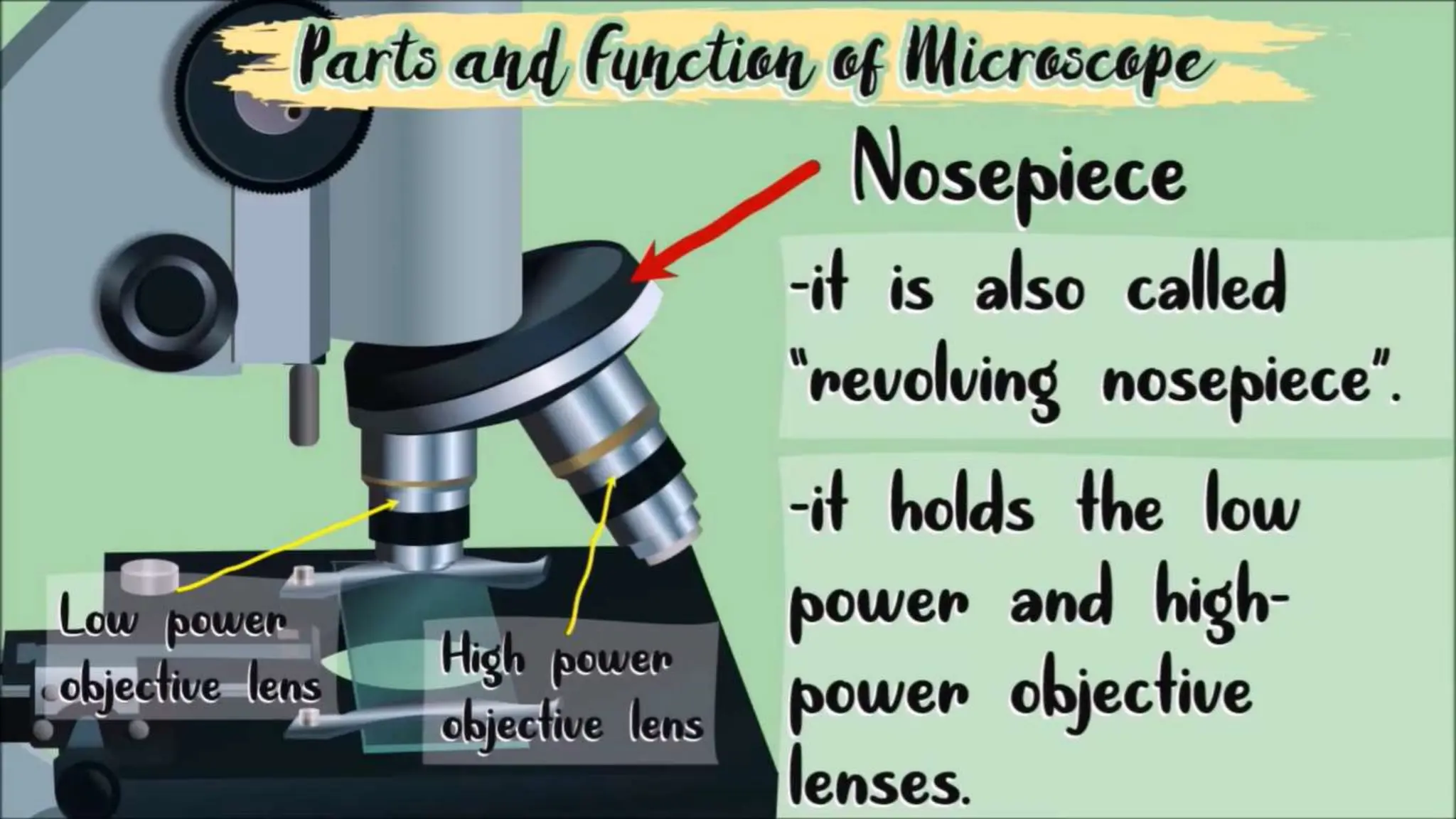 Second (2nd) Quarter Topics in Science 7 | PPTX | Photography | Arts and Crafts