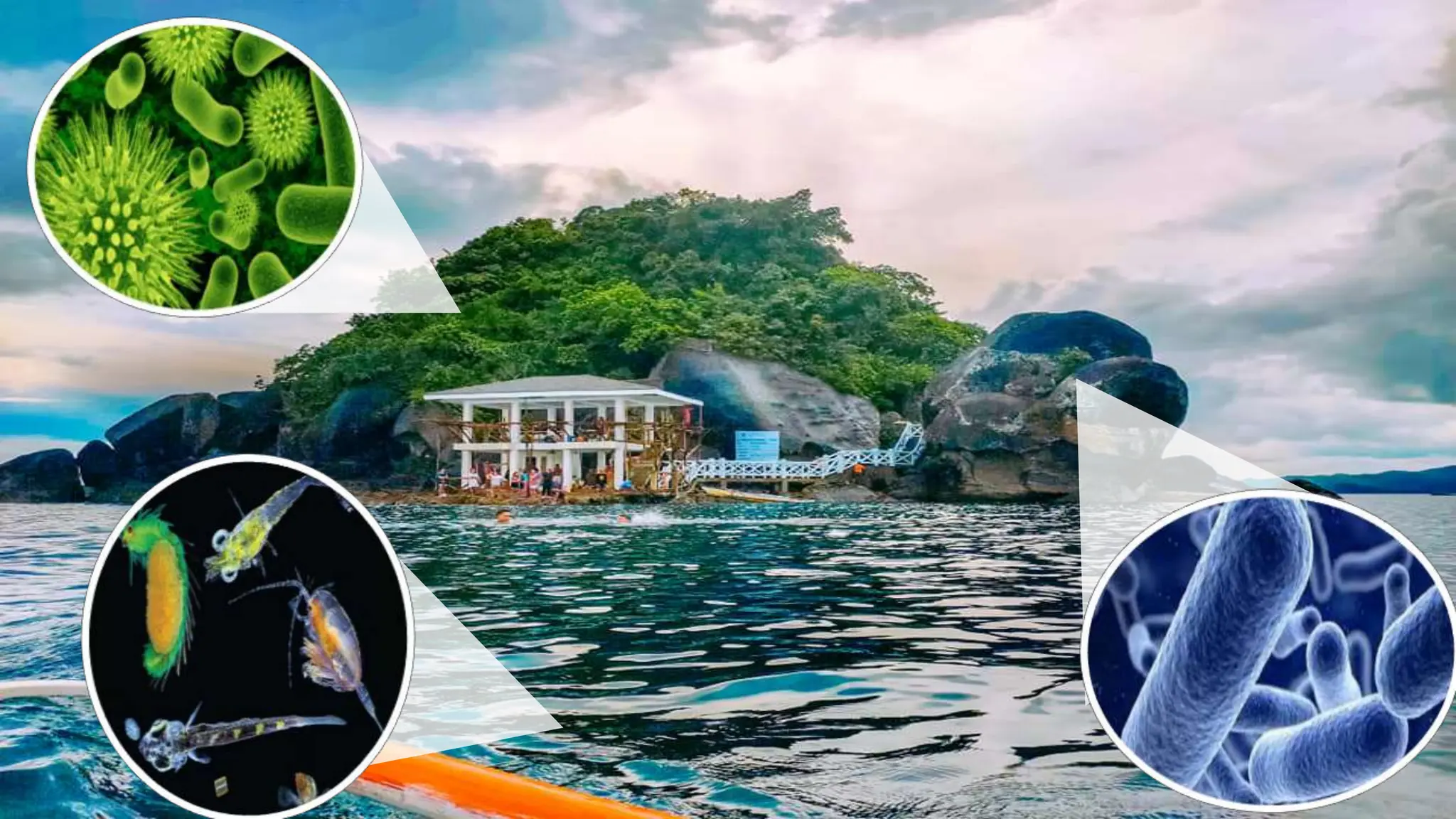 Second (2nd) Quarter Topics in Science 7 | PPTX