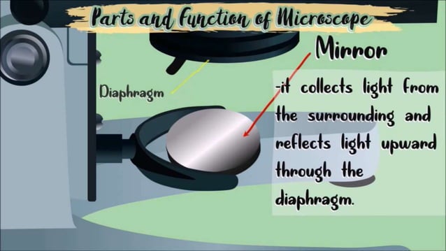 Second (2nd) Quarter Topics in Science 7 | PPTX | Photography | Arts ...