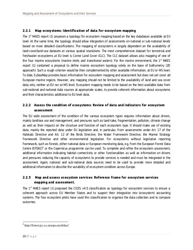 2nd maes workingpaper