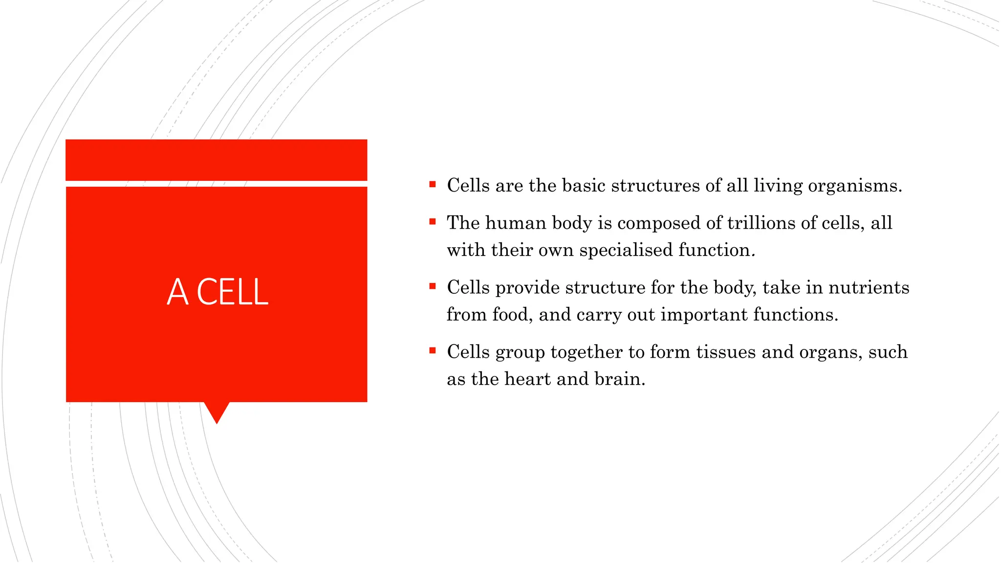 English for Biology Students : Definition of Cell | PPTX