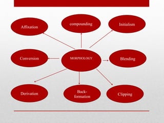 2nd meeting_Morphology- branches of morphology | PPT