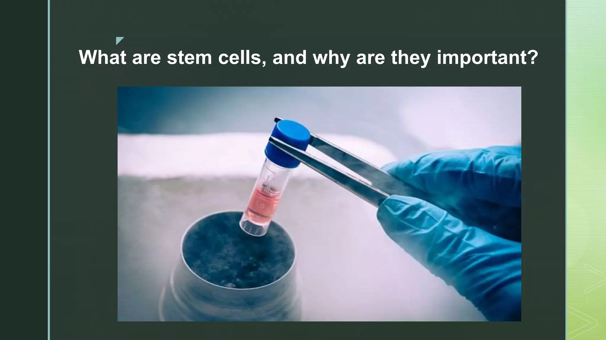 2nd msc class presentn stem cell intro, types | PPTX