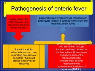 Enteric fever | PPT