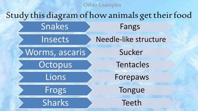 2nd qtr 2 how animals get eat their food using certain body parts ...
