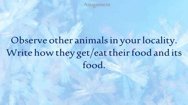 2nd qtr 2 how animals get eat their food using certain body parts ...