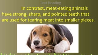 2nd qtr 3 body parts of some animals in getting their food | PPTX