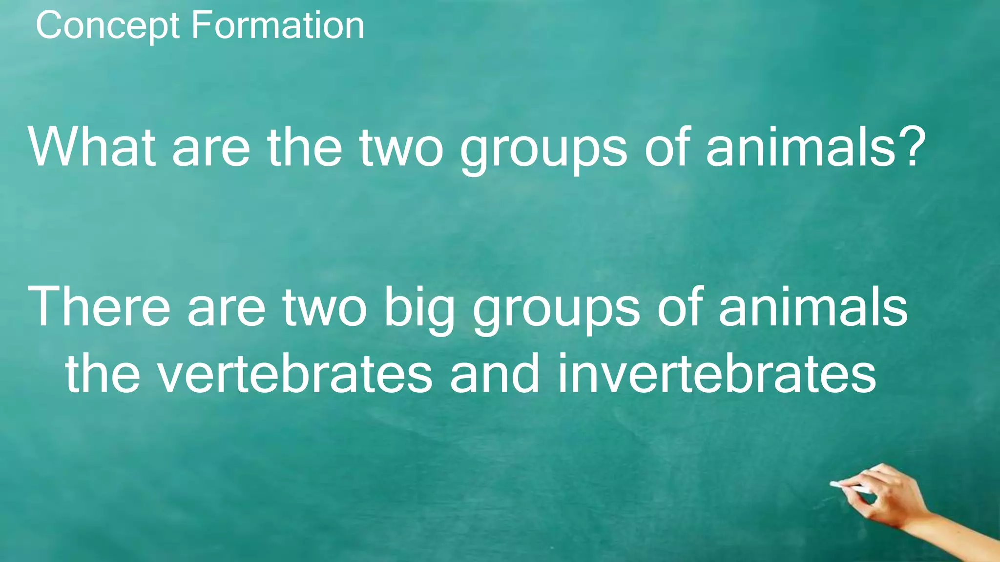2nd qtr 6 classifies animals into vertebrates and invertebrates | PPTX ...