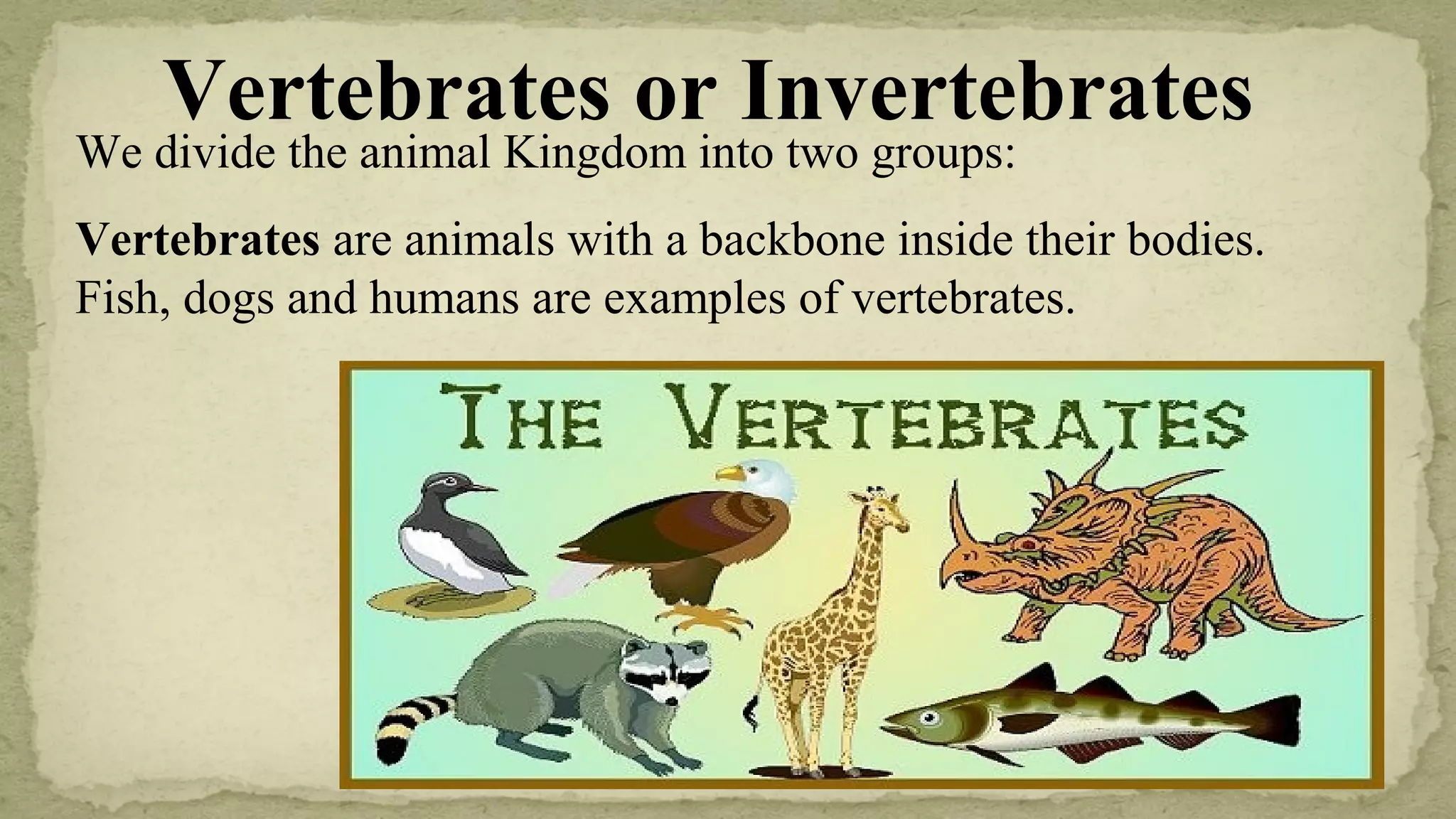 2nd qtr 8a characteristics of vertebrates | PPT