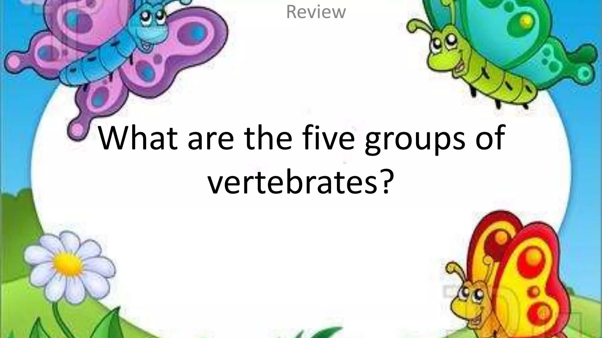 2nd qtr 8 characteristics of each group of vertebrates | PPTX