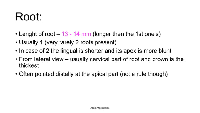 2nd Upper Premolar Anatomy | PPTX