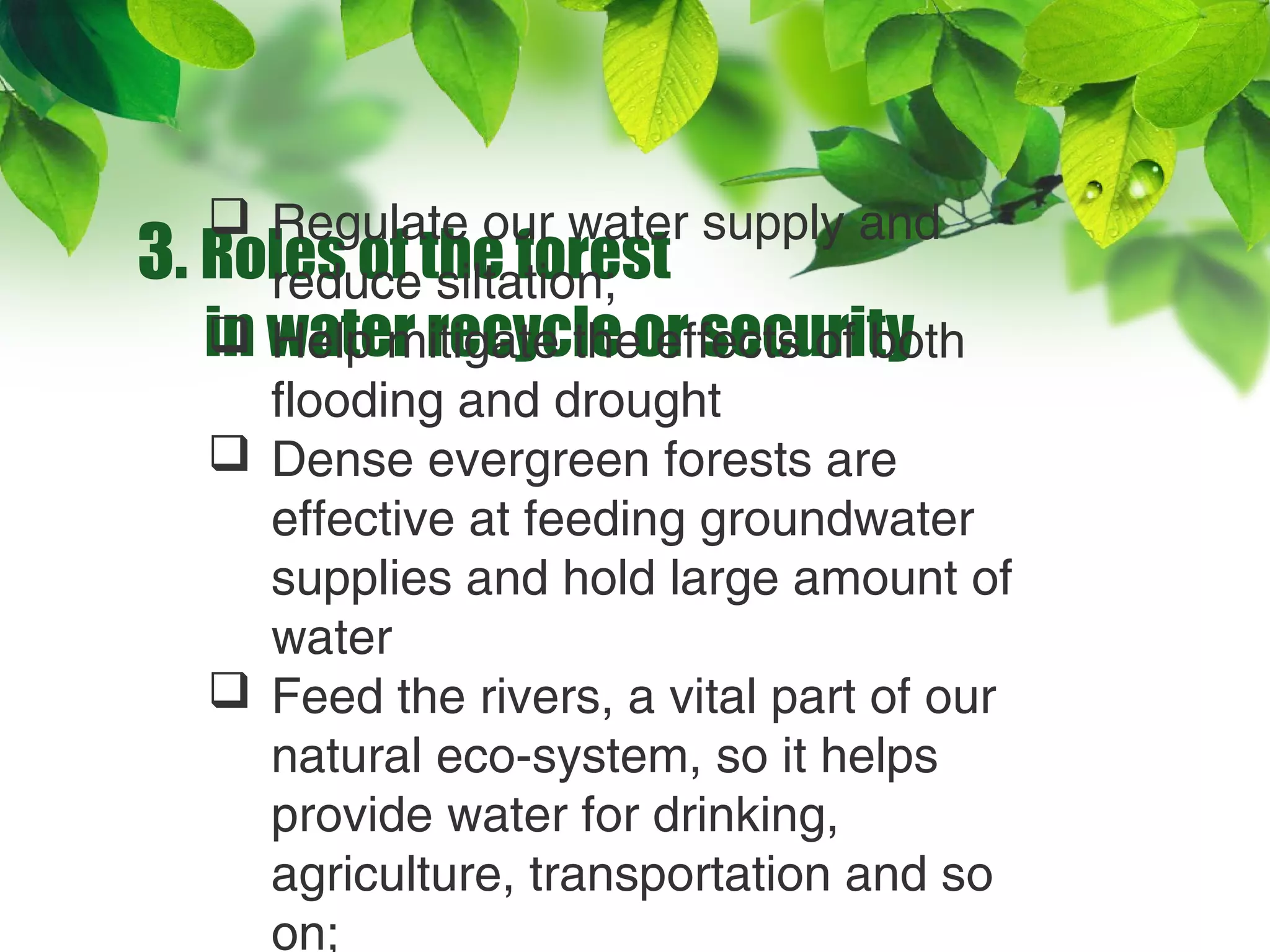 Cambodia Forest Water Life__2nd Presentation__Instructed by Prof. Chea ...