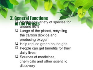 Cambodia Forest Water Life__2nd Presentation__Instructed by Prof. Chea ...