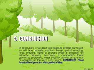 Cambodia Forest Water Life__2nd Presentation__Instructed by Prof. Chea ...