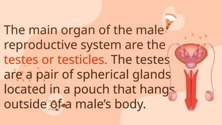 SCIENCE 5: THE MALE AND FEMALE HUMAN REPRODUCTIVE SYSTEM | PPTX