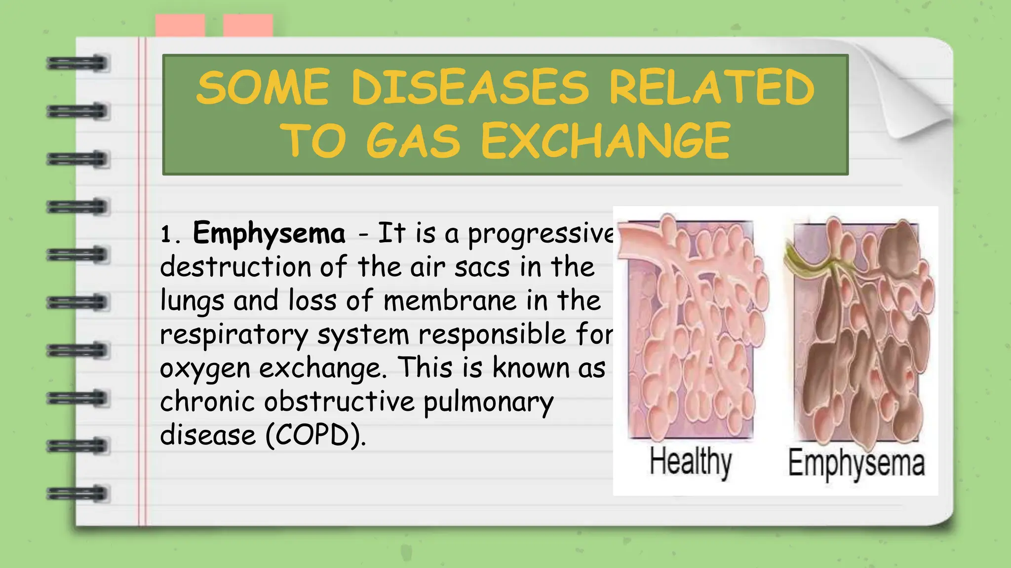 2nd QUARTER LESSON 3 - GAS EXCHANGE.pptx