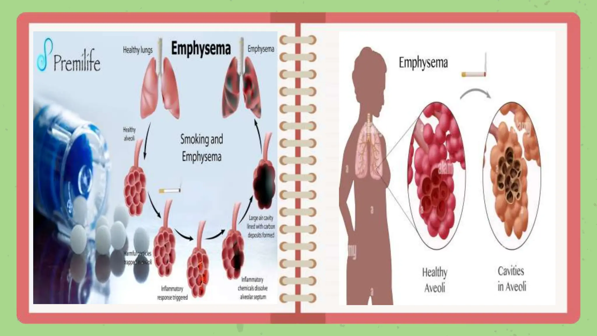 2nd QUARTER LESSON 3 - GAS EXCHANGE.pptx