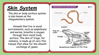 2nd QUARTER LESSON 3 - GAS EXCHANGE.pptx